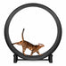 One Fast Cat Exercise Wheel - Gen 7 - 48 inches - Black – Petplanet