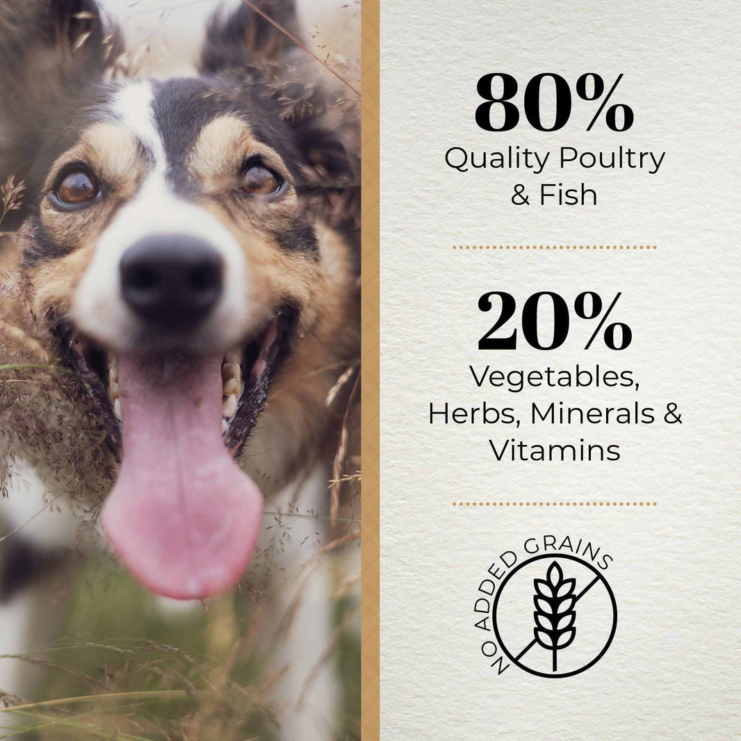 Pet Supplies Store | Petplanet.co.uk | The UK's #1 Pet Store – Petplanet